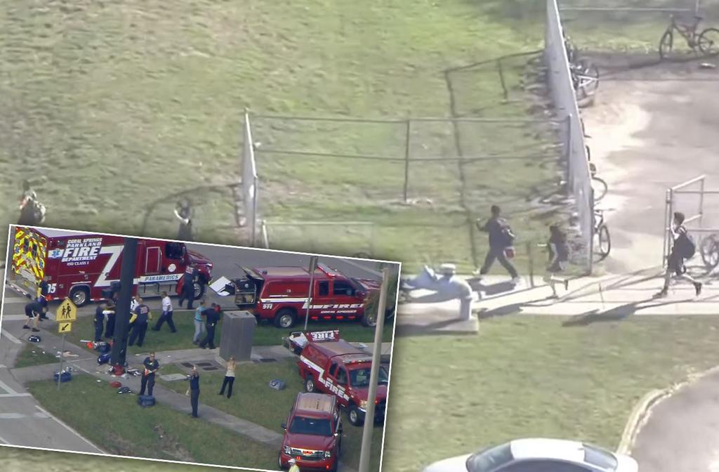 Florida High School Shooting Update -- Multiple Deaths, Suspect In Custody