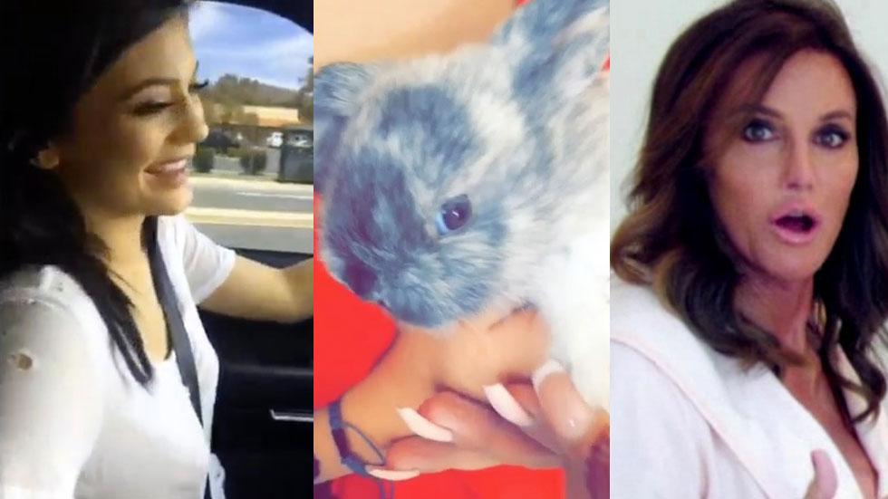 Daddy Diss? Kylie Jenner Names Rabbit 'Bruce' –– Uses Caitlyn's Pre ...