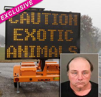 Owner Of Released Wild Animals 'Was An Unusual Fella' Says The Mayor Of ...