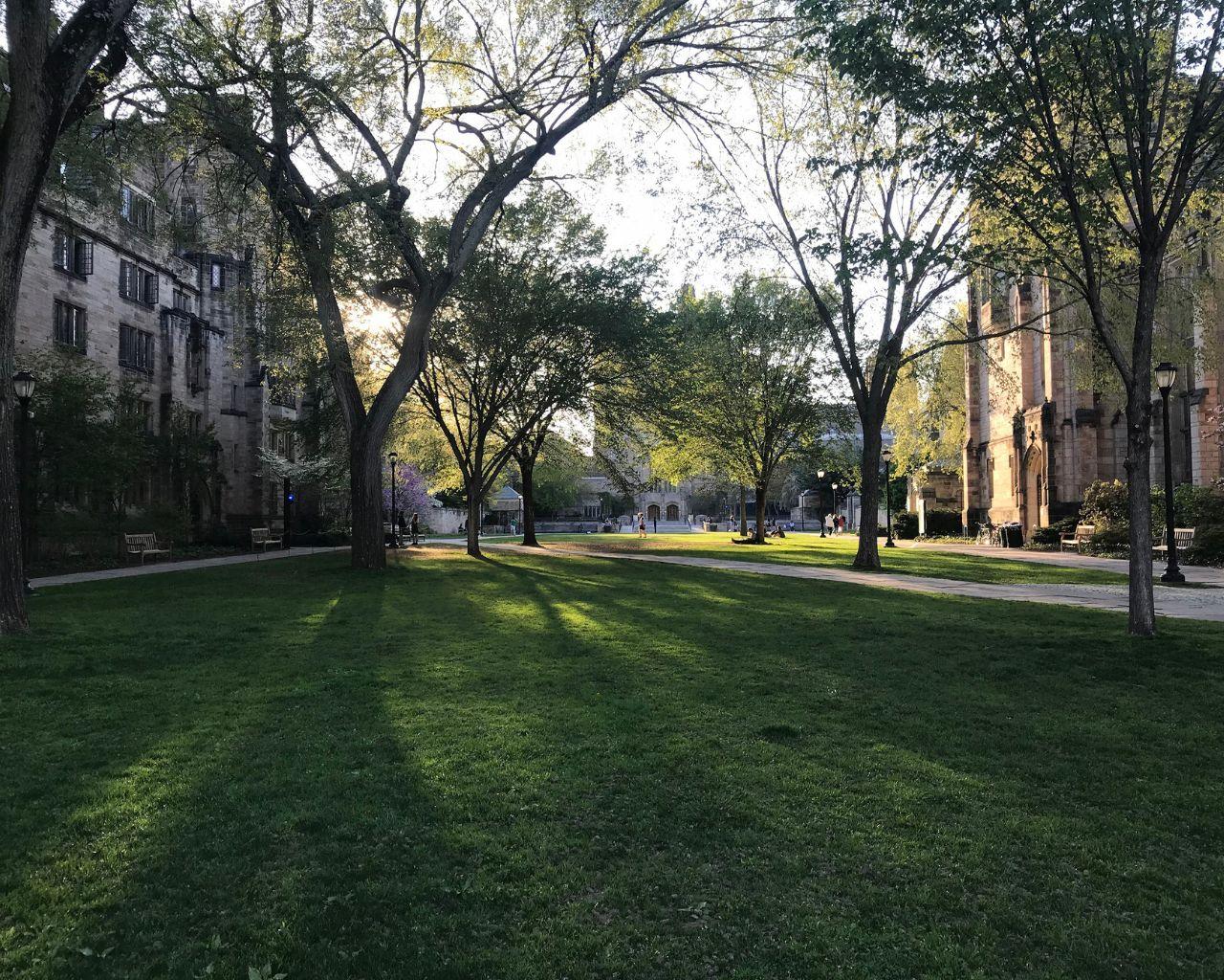 Harvard Students Walk Out In Protest Over Professor's Return After ...