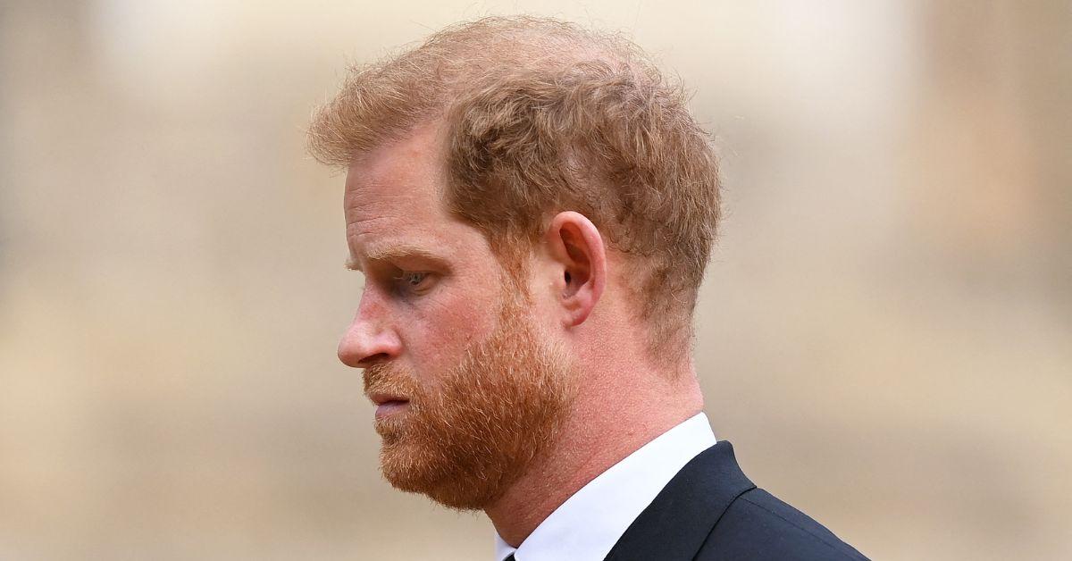 Prince Harry's 'Paranoia' To Blame For Crusades Against Royal Family