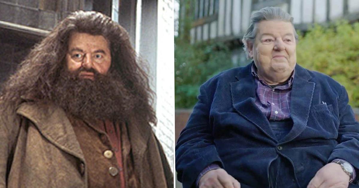 Inside 'Harry Potter' Star's Sad Reclusive Life