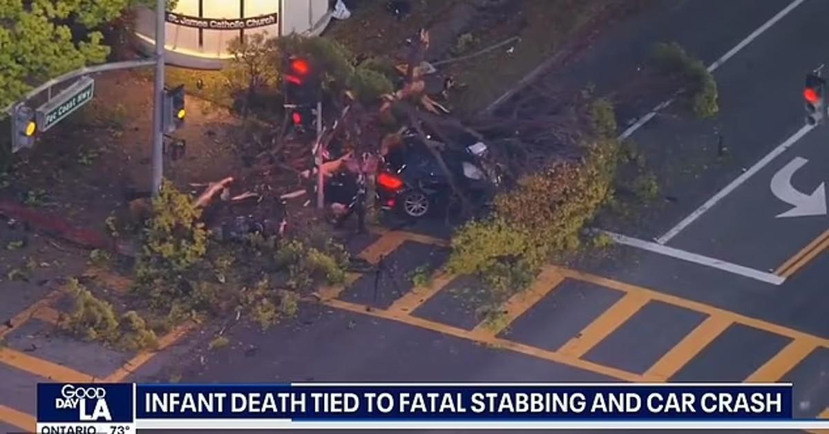 Autopsies Completed for LA Mom, Partner After Woman is Suspected of ...