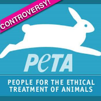 PETA Shocker: 95 % Of Animals In Its Shelter Are Put Down