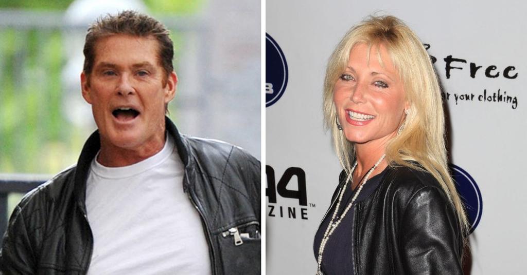 David Hasselhoff Now Wheelchair-Bound After ex-Wife's Shock Suidcide