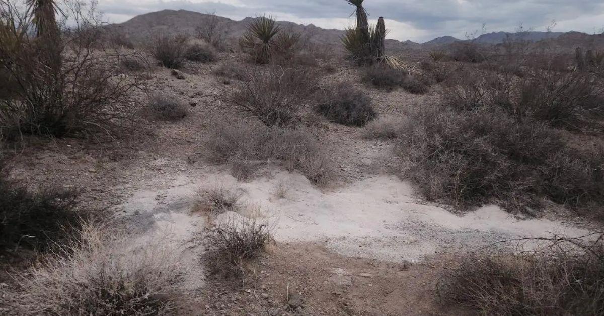 Dozens Of Piles Of Cremated Human Remains Found Outside Las Vegas
