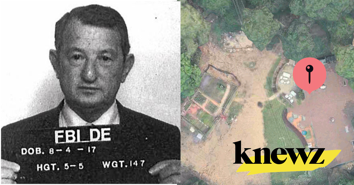 Jimmy Hoffa Murder Weapon Could Be Buried In Detroit Backyard