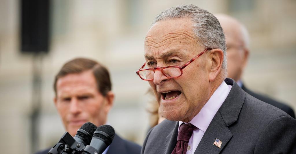Schumer Says Democrats Will Lose House Majority In Midterms
