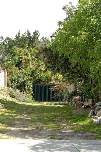 ‘Slap In The Face!’ Patrick Swayze’s Widow Lisa Niemi Sells His Beloved ...