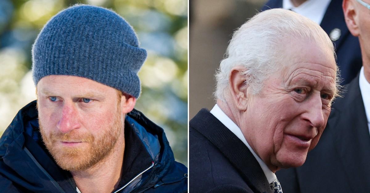 Prince Harry Determined to Be the 'Playful' Parent He Wanted Growing Up