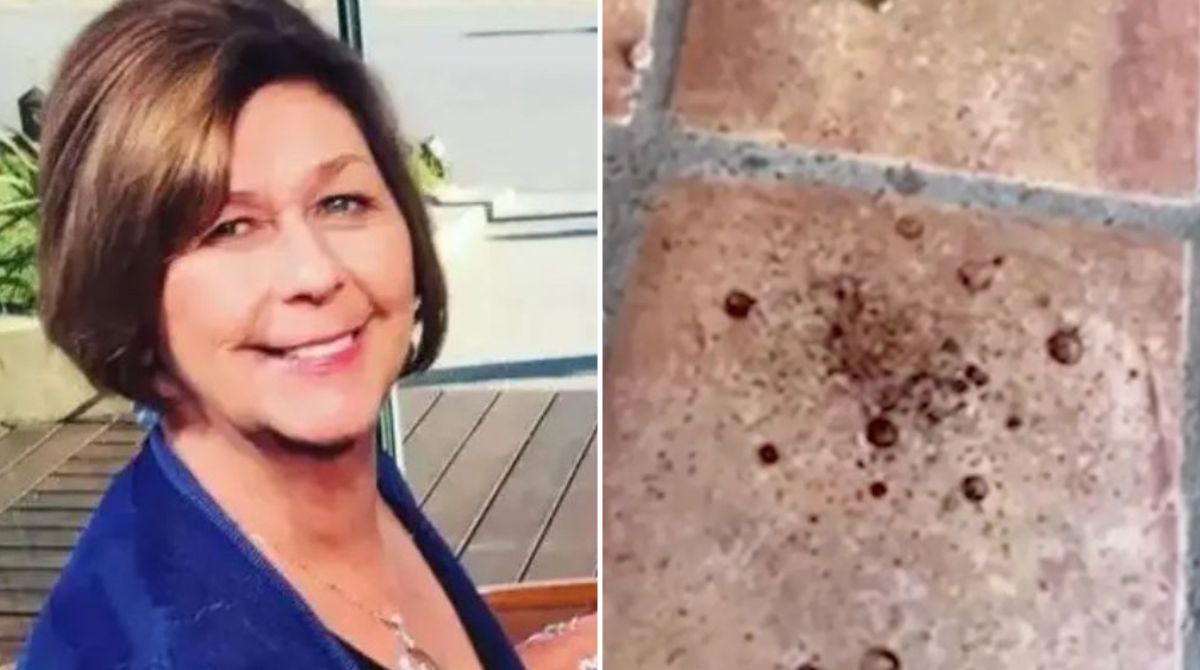 Blood Spatter Reveals Nancy Guthrie Likely 'Wrapped Up,' 'Carried' From ...