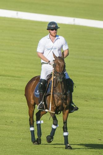 Prince Harry Falls Headfirst Off His Horse During Charity Polo Match