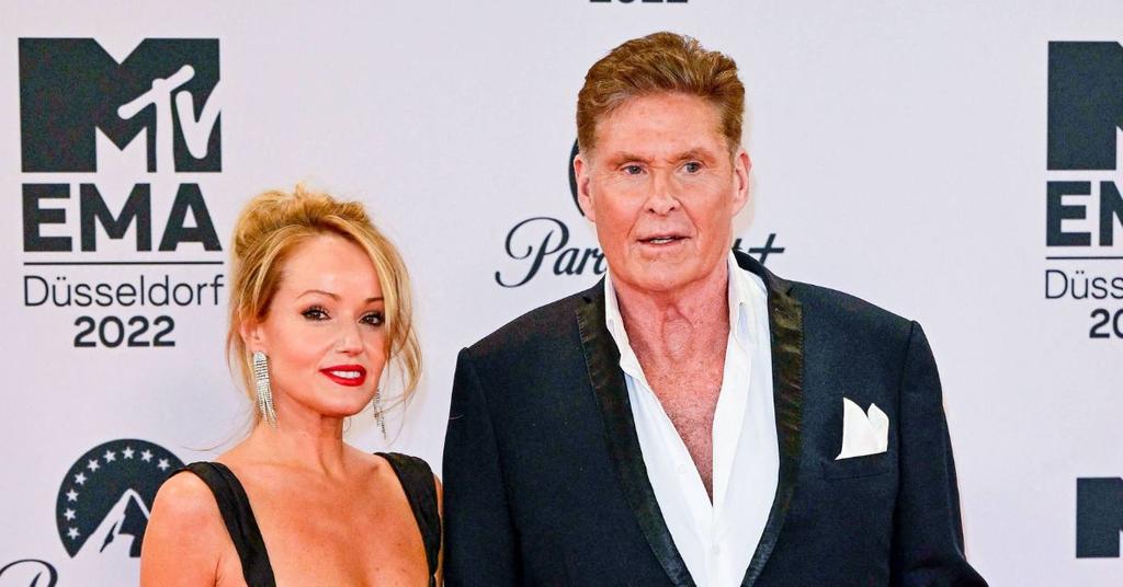 David Hasselhoff Now Wheelchair-Bound After ex-Wife's Shock Suidcide