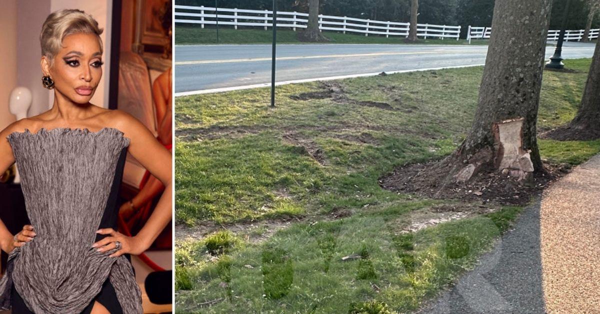 Karen Huger's Maserati Caught on Fire in DUI Crash, Firefighters Pulled ...