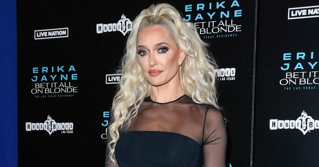 Fashion Designer Sues Erika Jayne and Secret Service for $18M