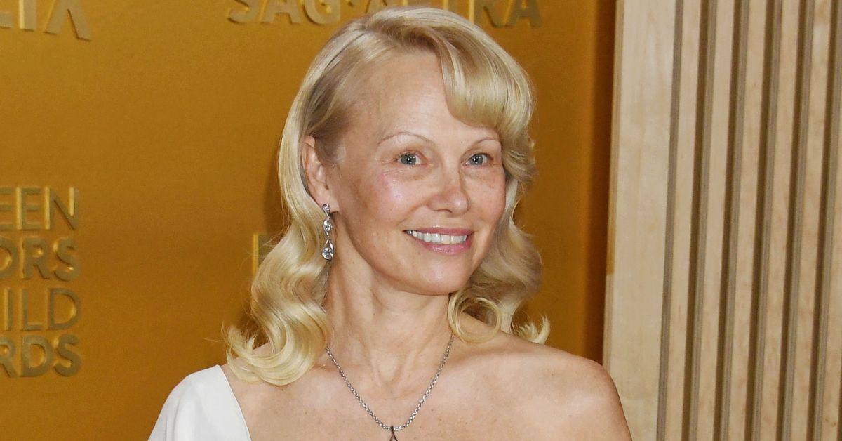 Pamela Anderson Makes Wild Career Switch After 'Snooty' Oscars 'Snub'