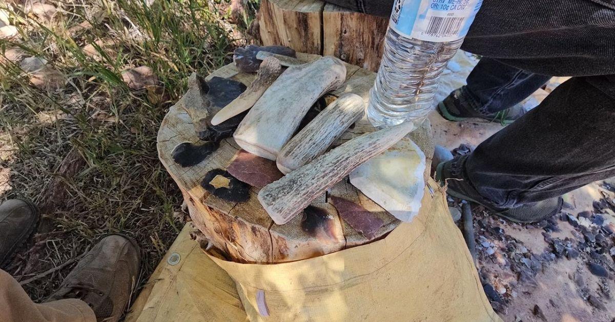 Unearthing 14,000-Year-Old Secrets at Wyoming’s Sunrise Dig Site