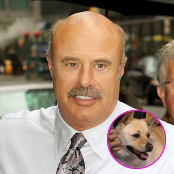 EXCLUSIVE: Dr. Phil's Dog Bit Two Other People Before Third Victim ...