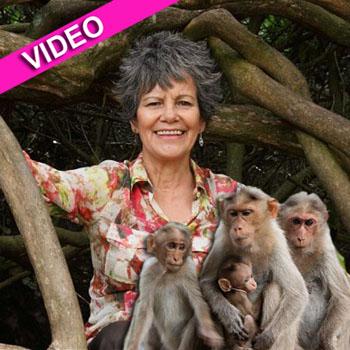 Real Life ‘Tarzan Woman’ Who Lived With Monkeys' Family Speaks Out