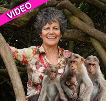 Real Life ‘Tarzan Woman’ Who Lived With Monkeys' Family Speaks Out
