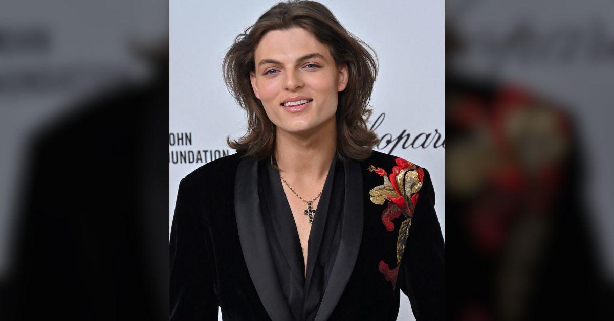 Liz Hurley's 'Achy Breaky Heart' Dilemma: Son Vs. Billy Ray Cyrus