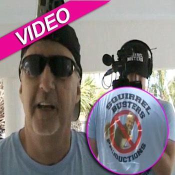 Officials Clamp Down On 'Squirrel Busters' Accused Of Harassing Ex ...