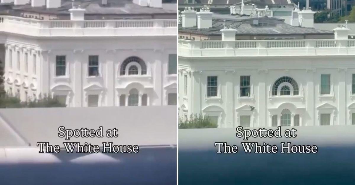 WATCH: Suspicious Item Thrown From White House Window Leads To Theories