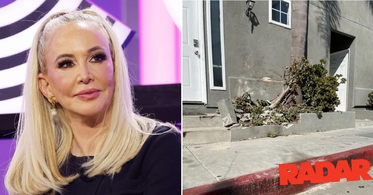 Shannon Beador's Weight Loss Not From Surgery: Sources