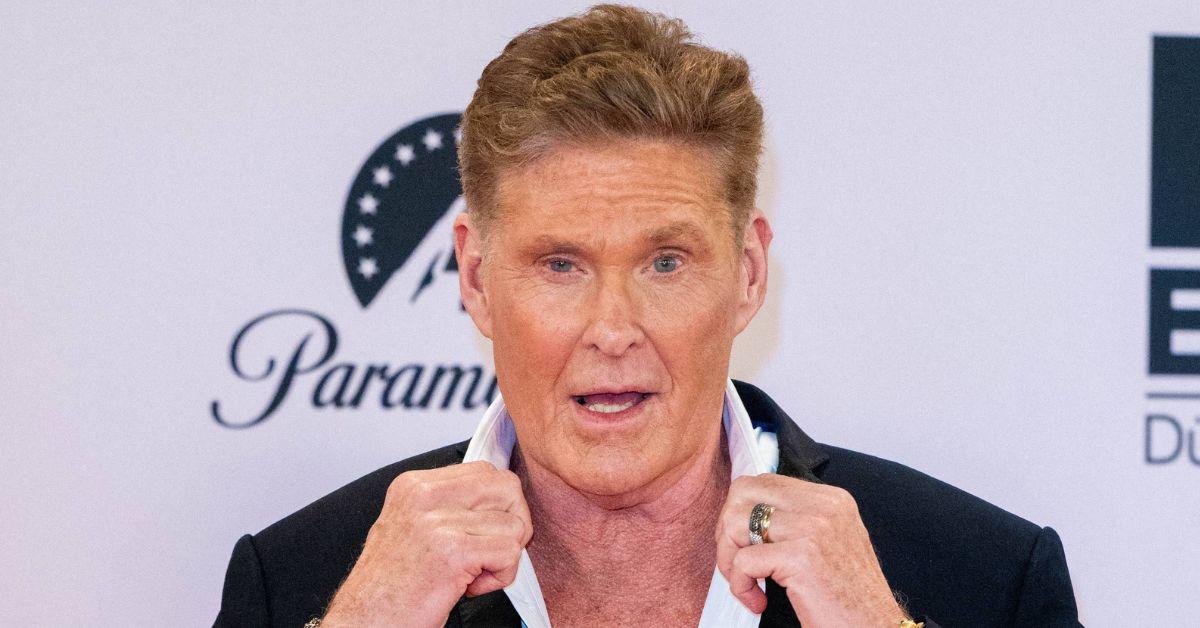 'Baywatch' Star David Hasselhoff Is 'Suffering and Using a Wheelchair'