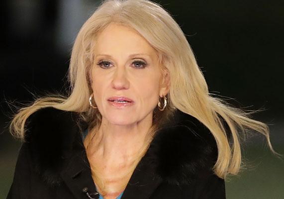 [PICS] Kellyanne Conway Cloak Portrait Goes Viral