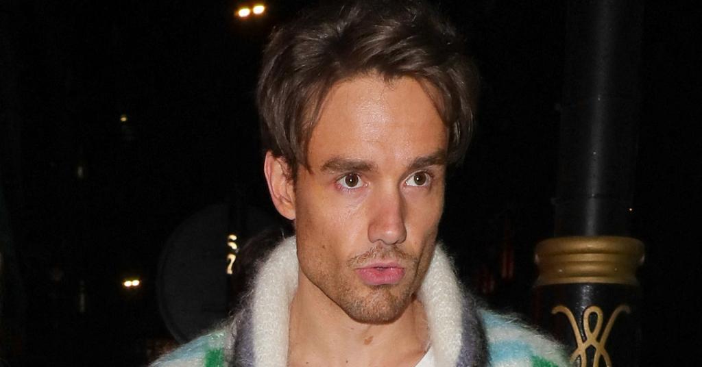 Liam Payne was 'Secret Drugs Counselor to Pals'