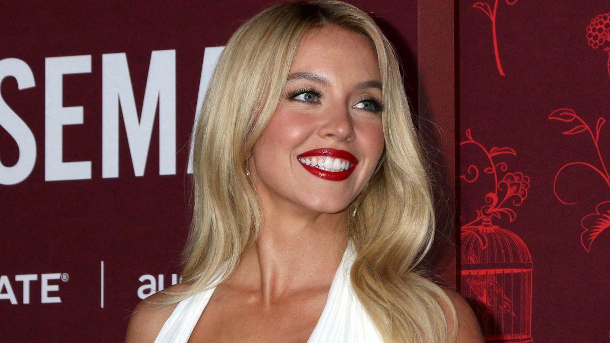 Meghan Kelly RIps Sydney Sweeney For 'Sexualizing Infancy' on HBO Show