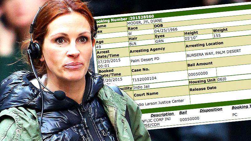Family Shame! Julia Roberts' Sister-In-Law Arrested After Bar Fight ...