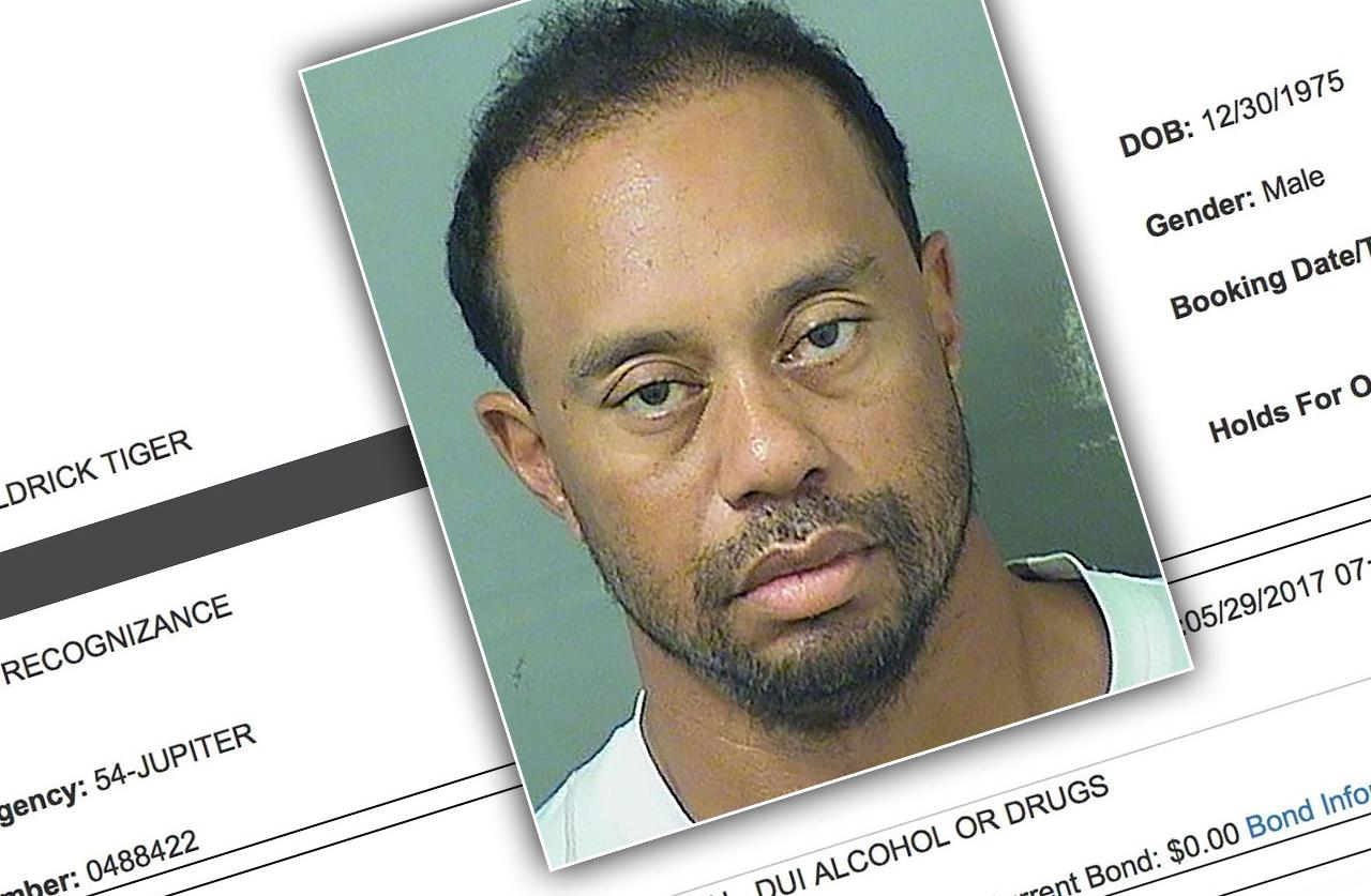 Tiger Woods Dui Arrest Radio Audio