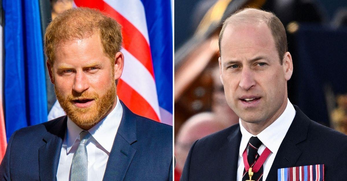 Prince Harry 'Won't Return to Royal Duties Unless Prince William ...