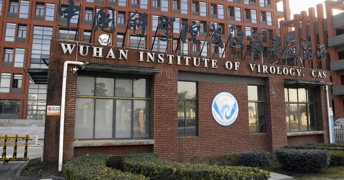 Wuhan Lab Researchers Say They Found New Virus In Mice