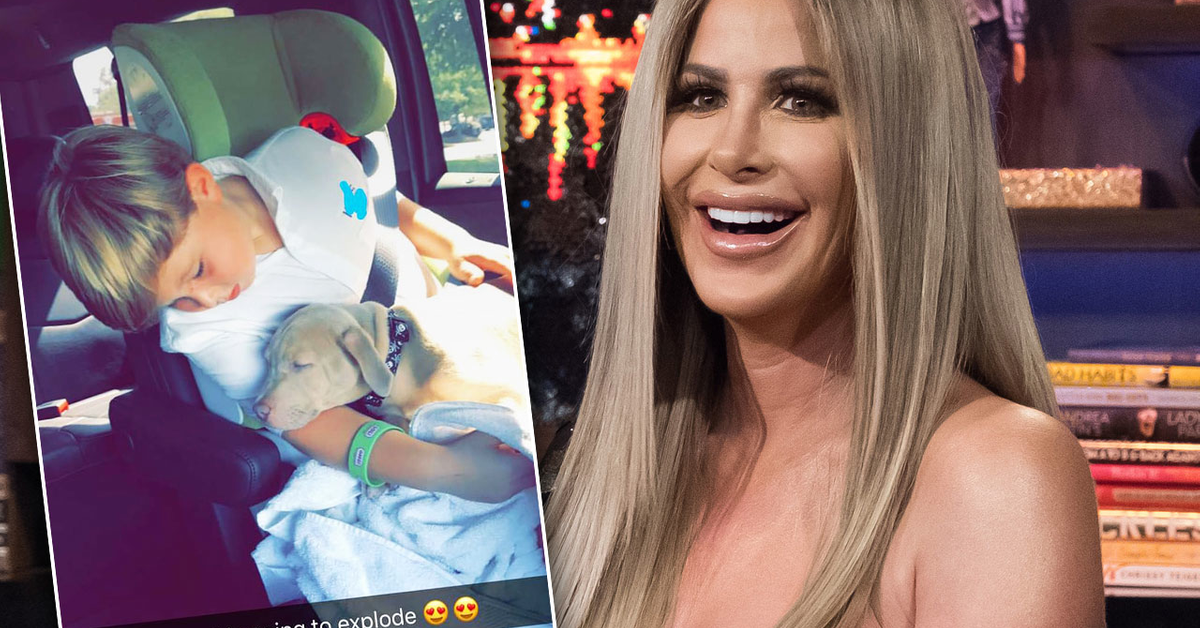 Kim Zolciak Gives Son Kash Biermann A Pitbull For Birthday After Dog Bite