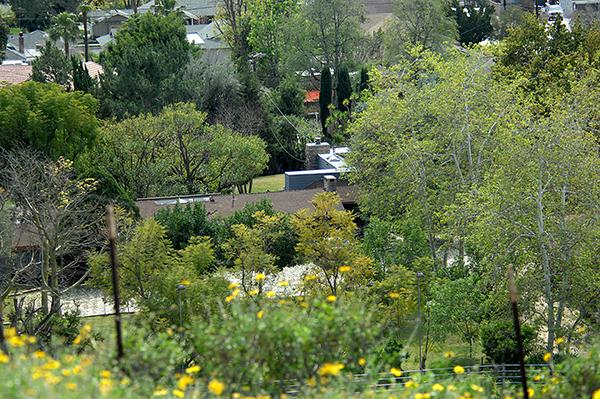 ‘Slap In The Face!’ Patrick Swayze’s Widow Lisa Niemi Sells His Beloved ...