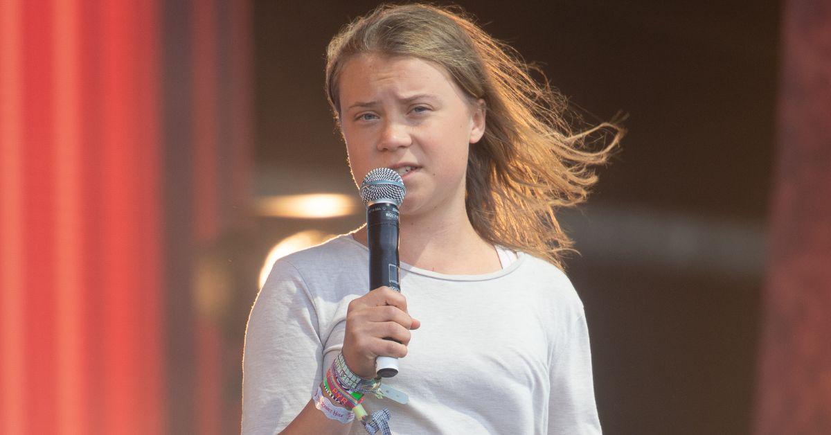 Andrew Tate Branded 'Emperor Of Cringe' After Sparring With Greta Thunberg