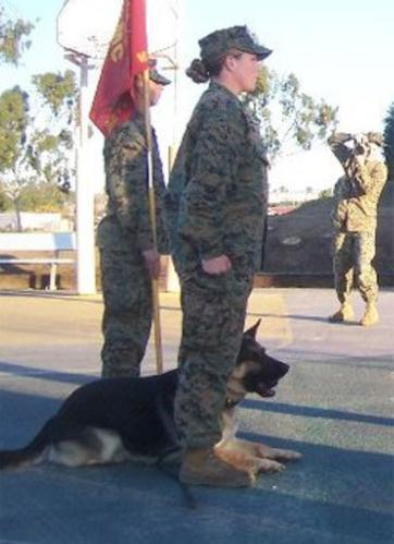 Images Of Megan Leavey And Sargeant Rex