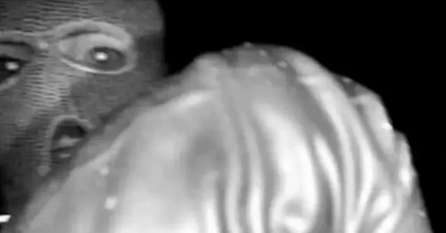 Nancy Guthrie's Kidnapper's Big Mistake Caught on Bone-Chilling Video