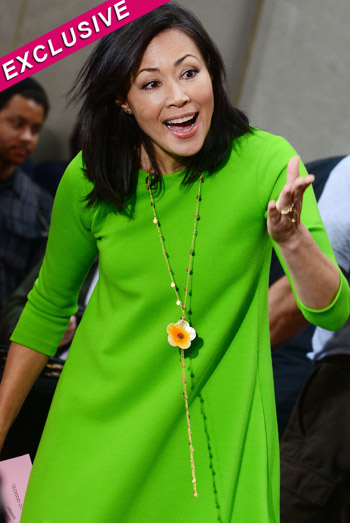 Ann Curry's Dress Criticism Shows 'Networks Want Women Who Look Like ...