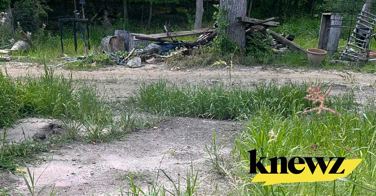Jimmy Hoffa Murder Weapon Could Be Buried In Detroit Backyard