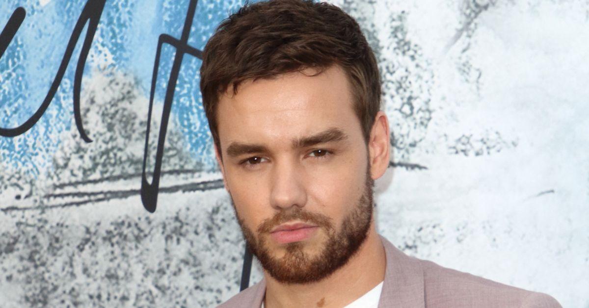 Liam Payne Left His Entire $32million Fortune To Son Bear