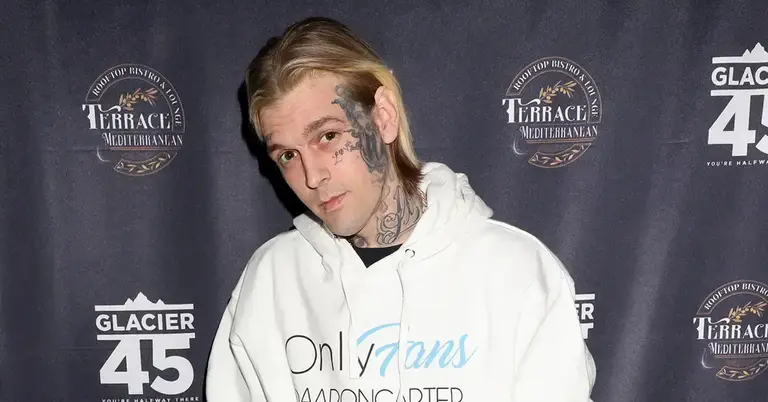 REVEALED: Aaron Carter's Estate Worth Six Figures for Now