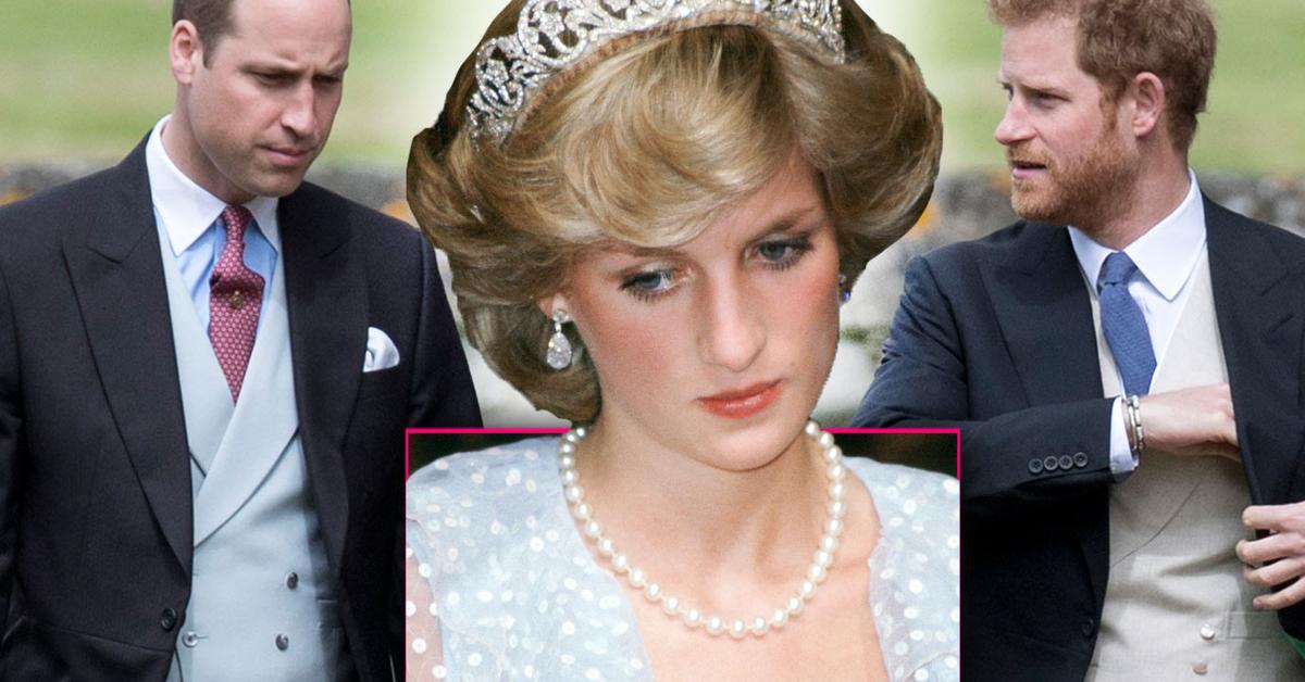 Princes William And Harry Agony Over Diana Last Phone Call