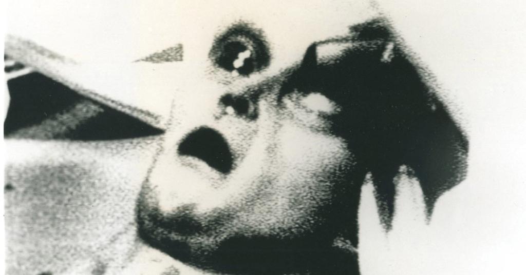 EXCLUSIVE: Steven Spielberg's New UFO Movie Sparks Conspiracy Theories