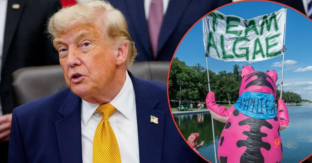 Trump Goes Off on Reflecting Pool 'Vandals' and Latest '8647' Incident