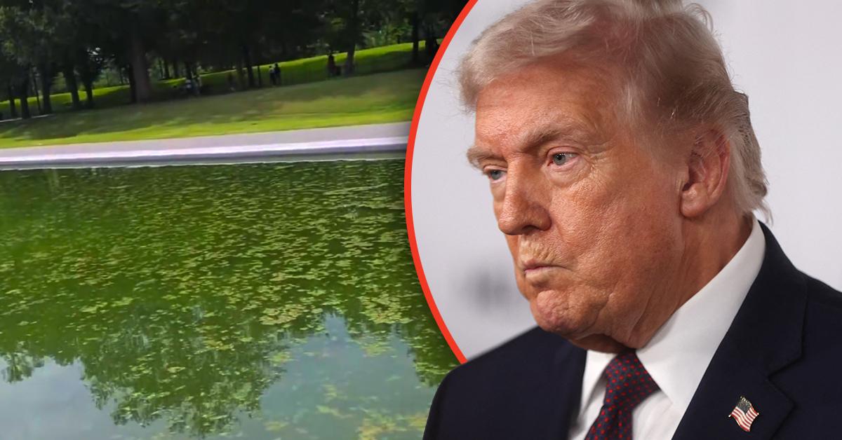 Embarrassment for Trump as His $14M Reflecting Pool Turns Green
