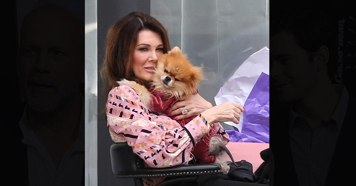 Vanderpump Dog Foundation Fighting Lawsuit Over 'Intolerable Work ...